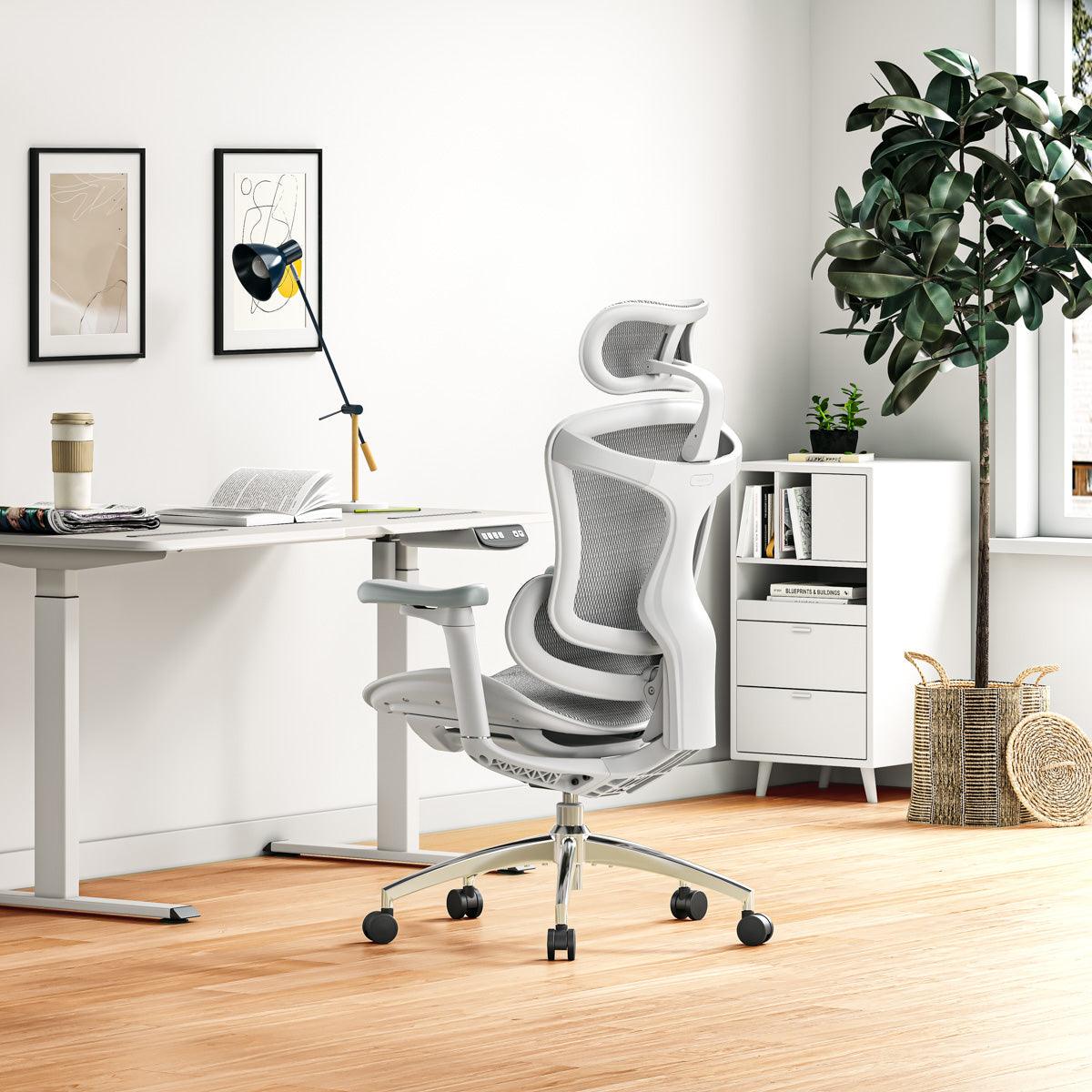 Sihoo Doro-C300 Design Story – Official US Sihoo Store