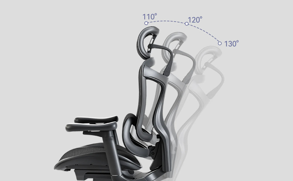 Sihoo Doro C300 Advanced Ergonomic Office Chair with Advanced Back ...