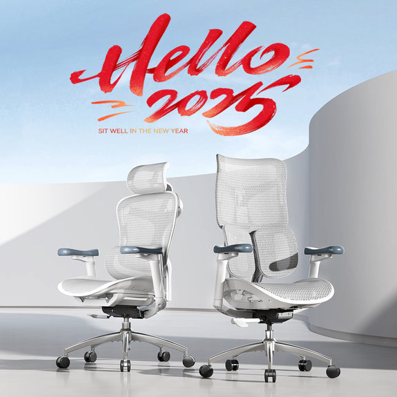 Doro C300 Ergonomic Office Chair with Enhanced Support Headrest ...