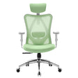 Sihoo M18 Classic Office Chair With Triple Spinal Relief