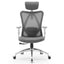 Sihoo M18 Classic Office Chair With Triple Spinal Relief