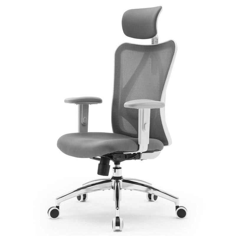 Sihoo M18 Classic Office Chair With Triple Spinal Relief