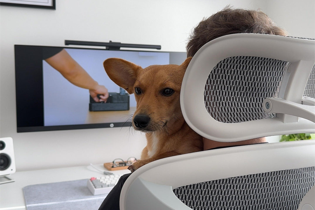 Understanding Office Chair Butt: What It Is and How to Address It ...