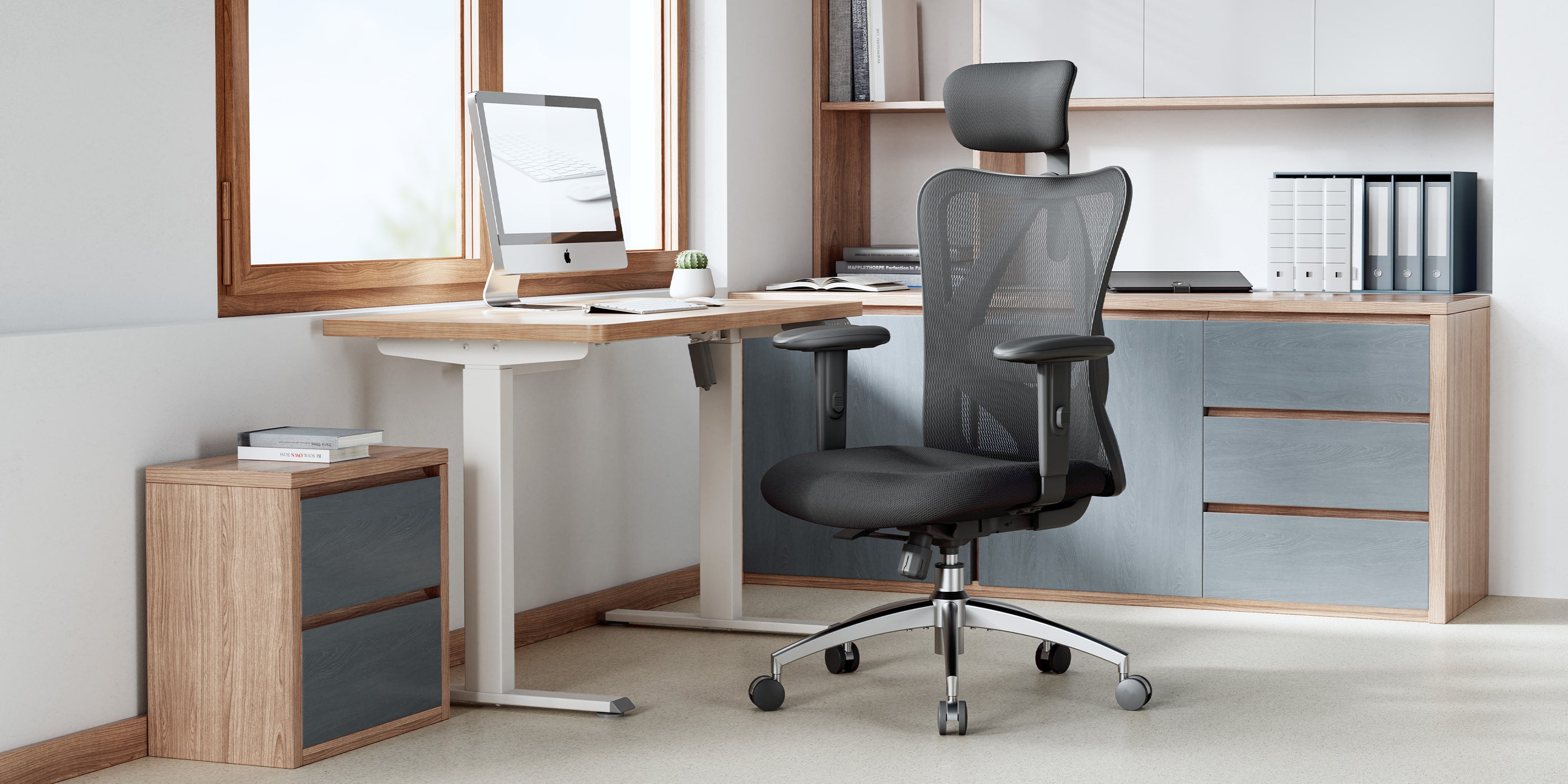 Sihoo M18 Classic Office Chair With Triple Spinal Relief
