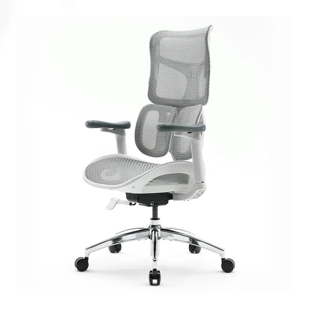 Sihoo Doro S100 Ergonomic Office Chair with Dual Dynamic Lumbar Support ...
