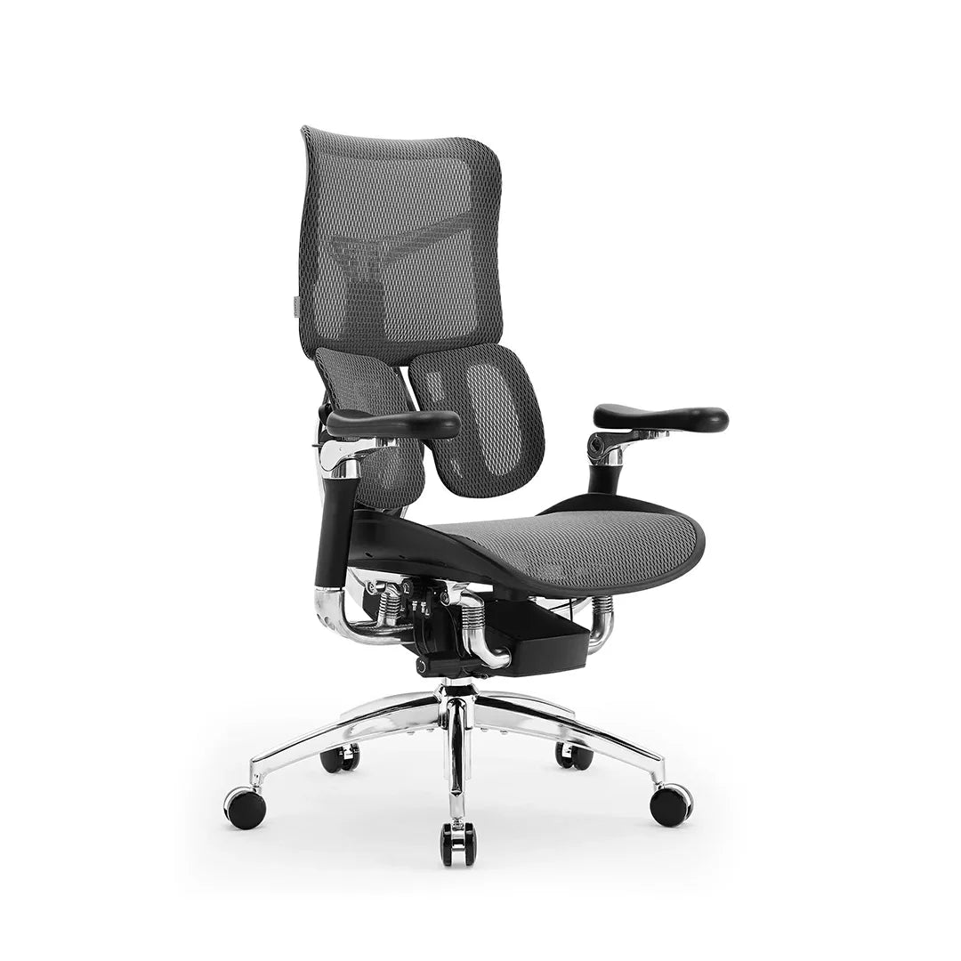 Sihoo Doro S300 Zero Gravity Ergonomic Office Chair Gravity-Defying ...