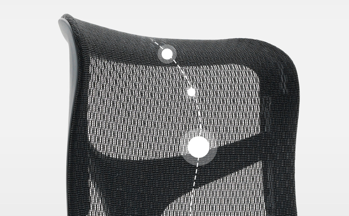 Sihoo Doro S100 Ergonomic Office Chair with Dual Dynamic Lumbar Support